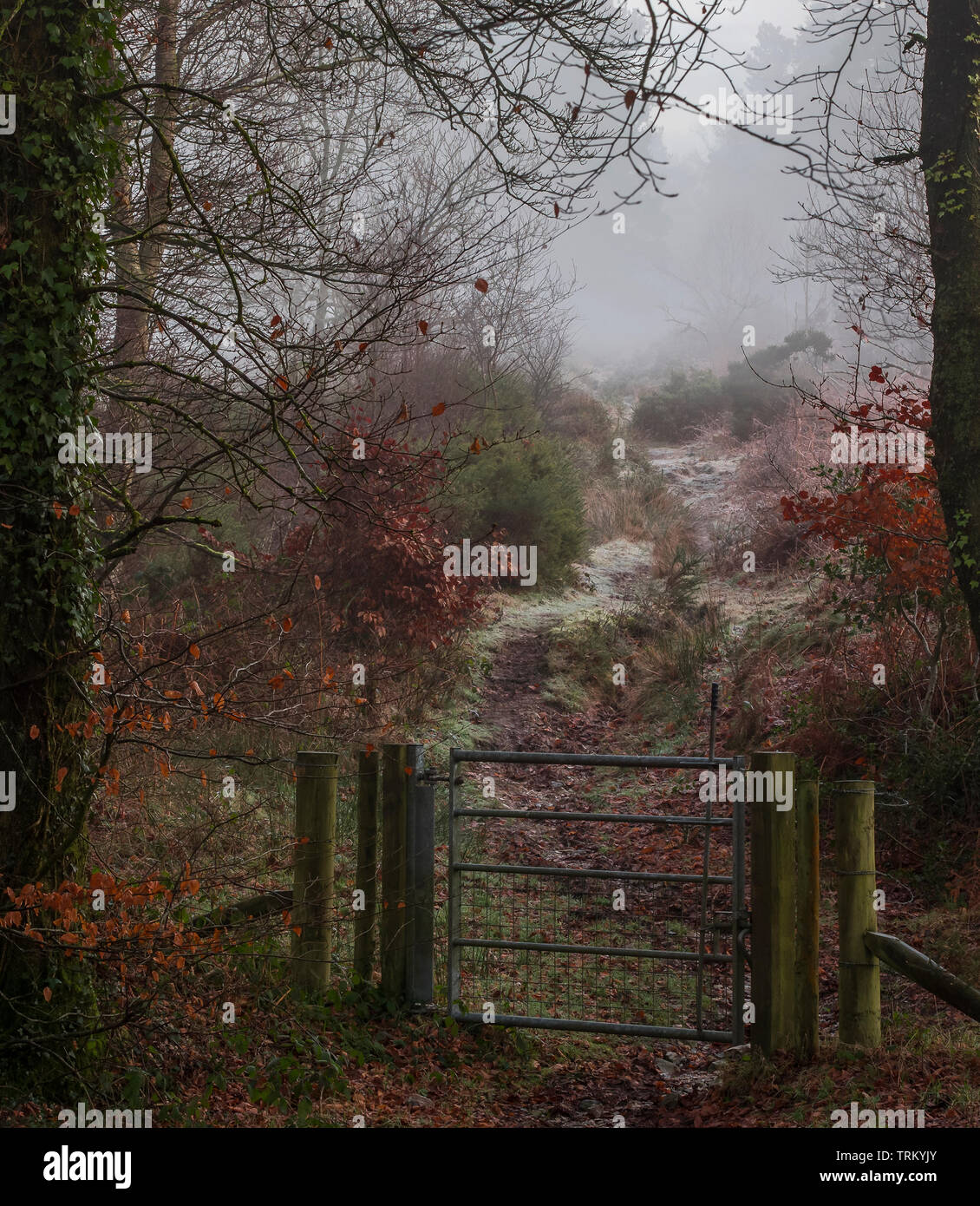 Blackdown Hills Somerset High Resolution Stock Photography and Images ...