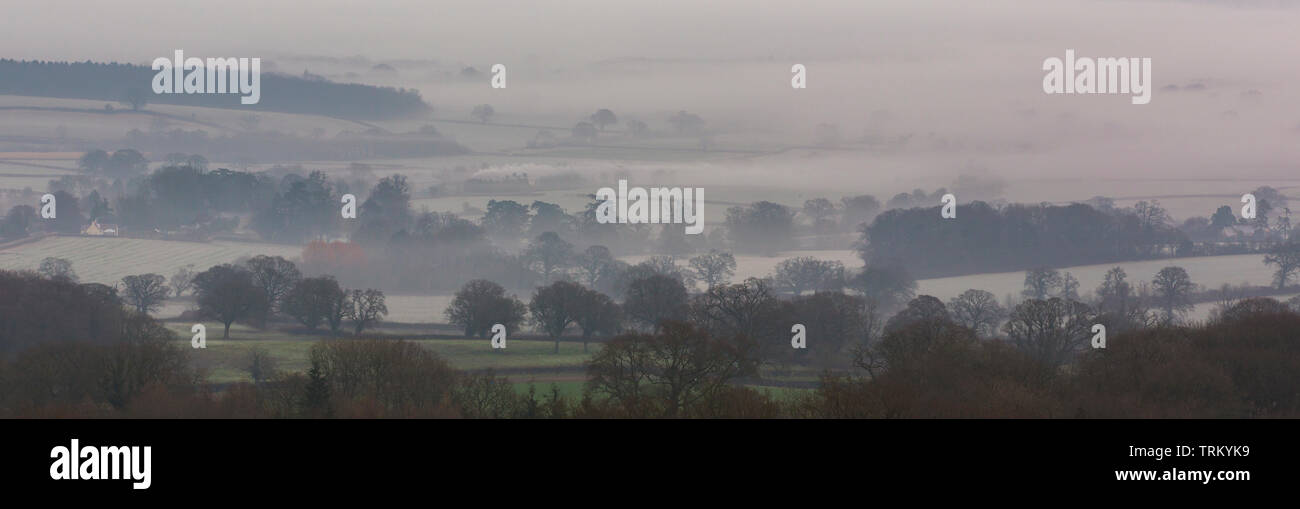 Misty morning in the Blackdown Hills, Somerset,UK Stock Photo - Alamy
