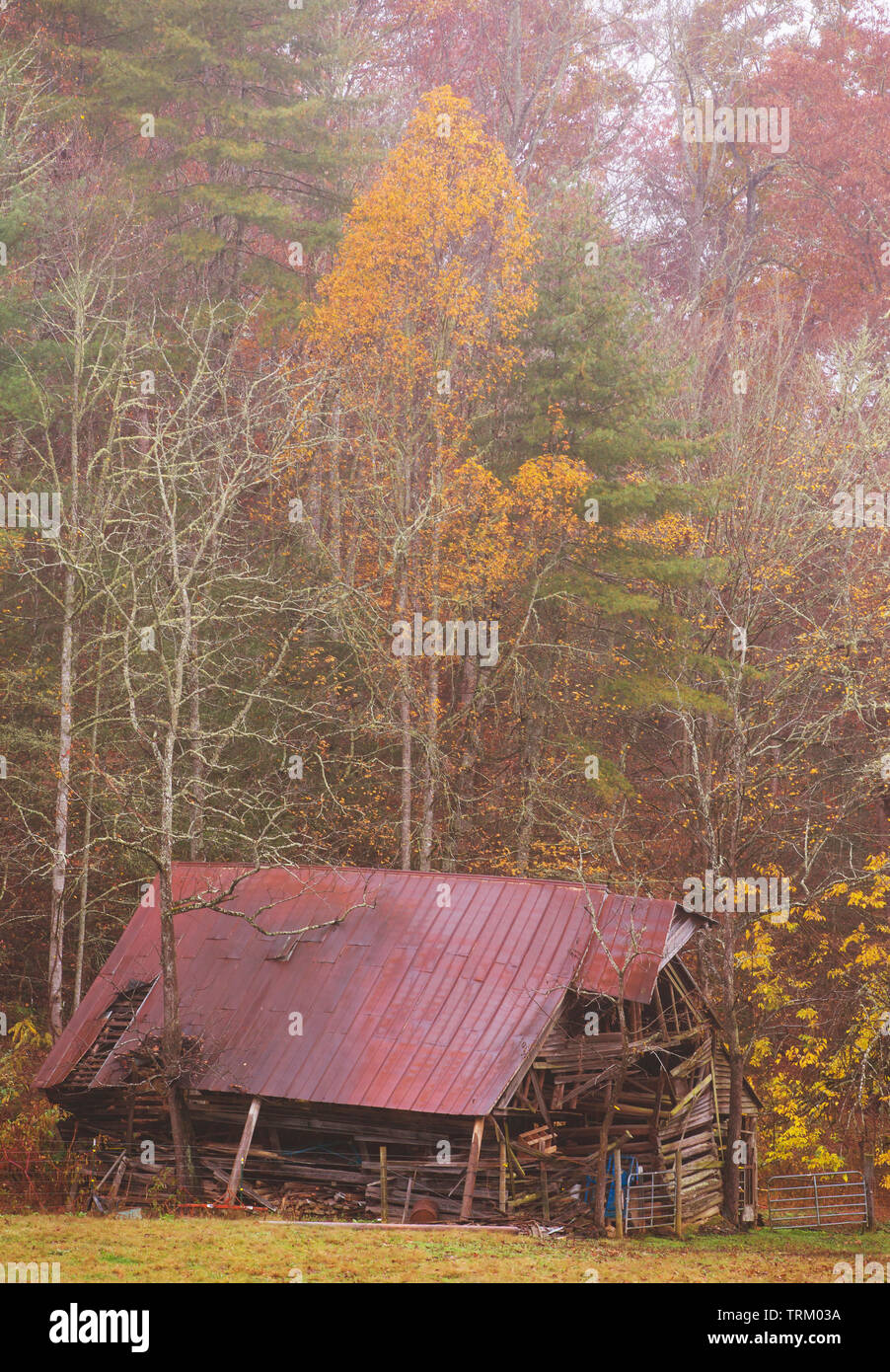 Derelict barn, Tennessee, USA Stock Photo - Alamy