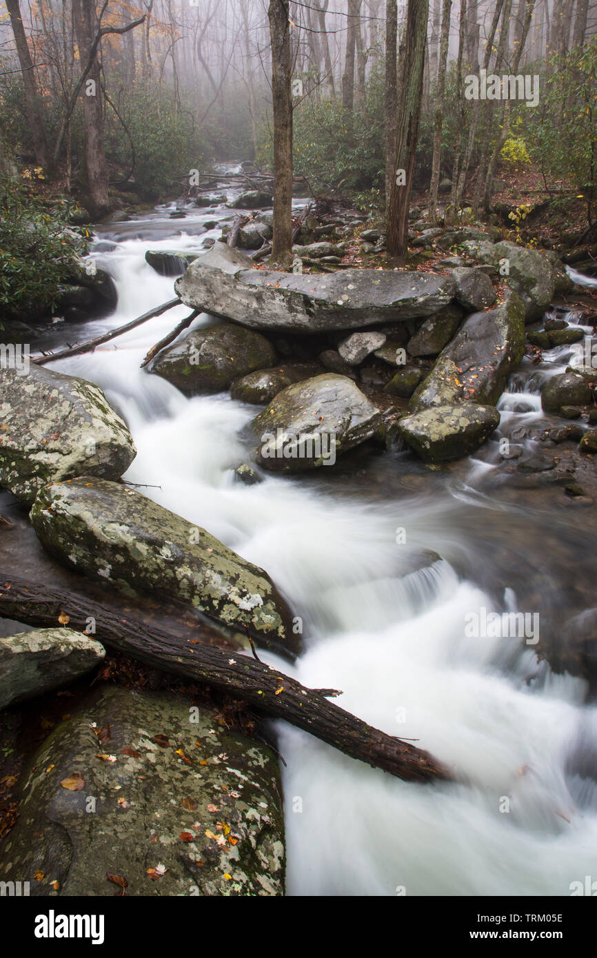 Roaring Fork Motor Trail, Smoky Mountains, Tennessee Stock Photo - Alamy