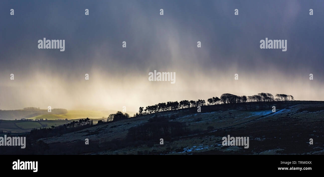 Snow storm approaching Haytor, Dartmoor, Devon, UK Stock Photo - Alamy