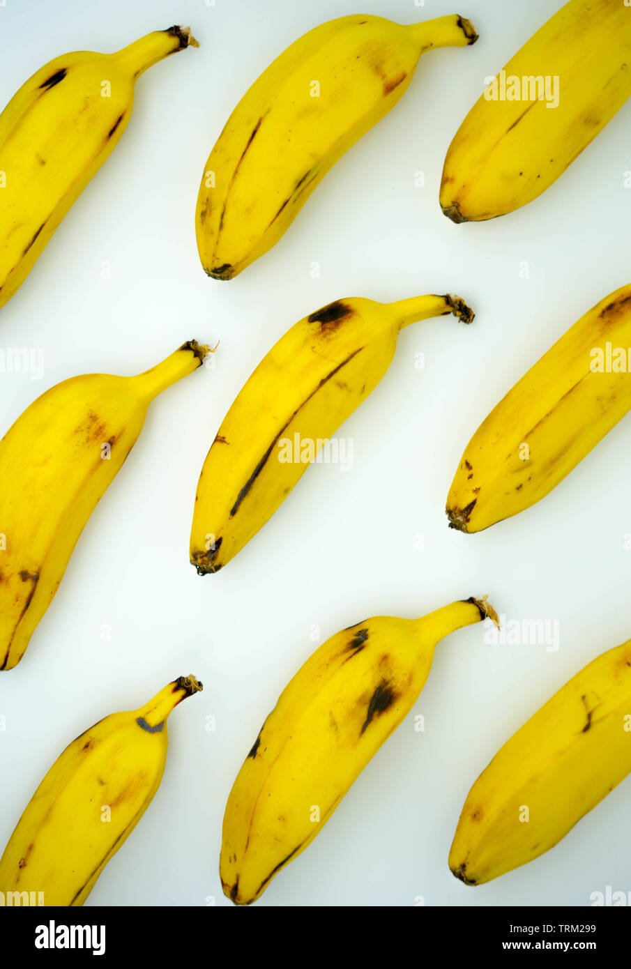 Three rows hi-res stock photography and images - Alamy