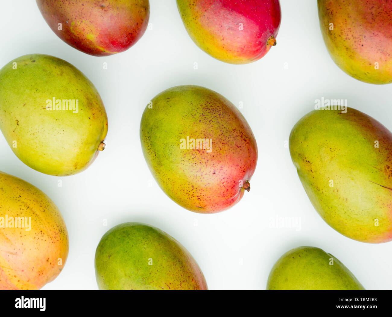 three rows of colorful in-season mangoes Stock Photo - Alamy