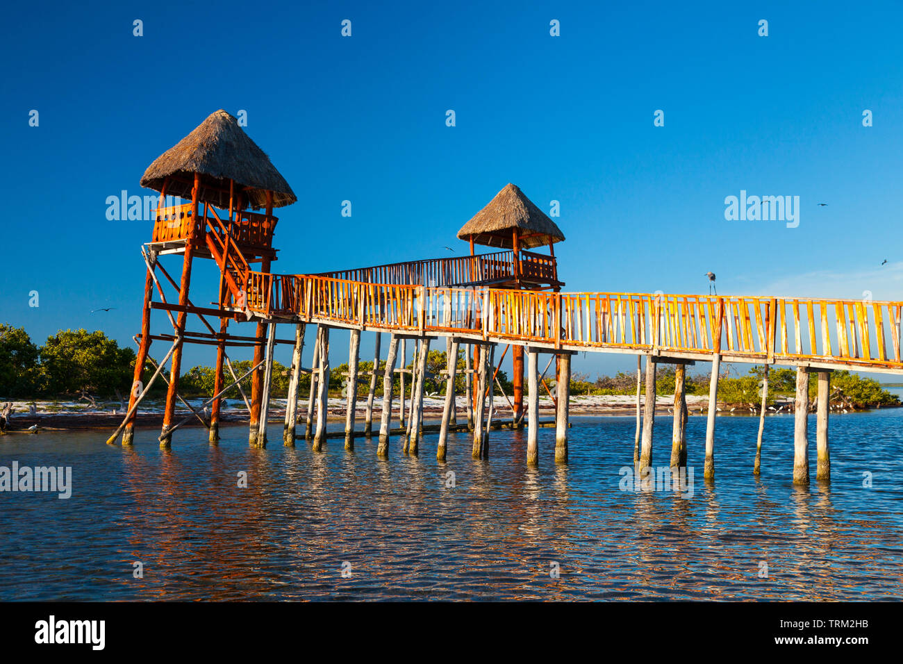 Isla Pájaros, Isla Holbox, Estado Quntana Roo, Península Yucatán ...