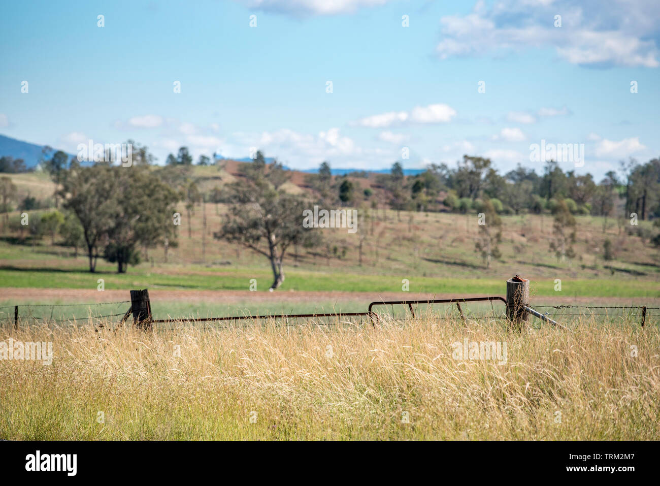 Broadacre farming hi-res stock photography and images - Alamy