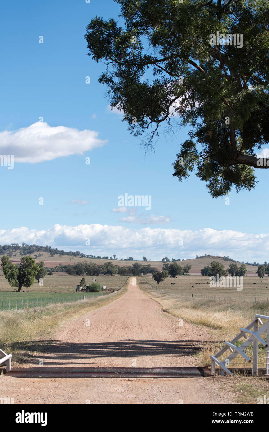 Straight side vertical hi-res stock photography and images - Alamy