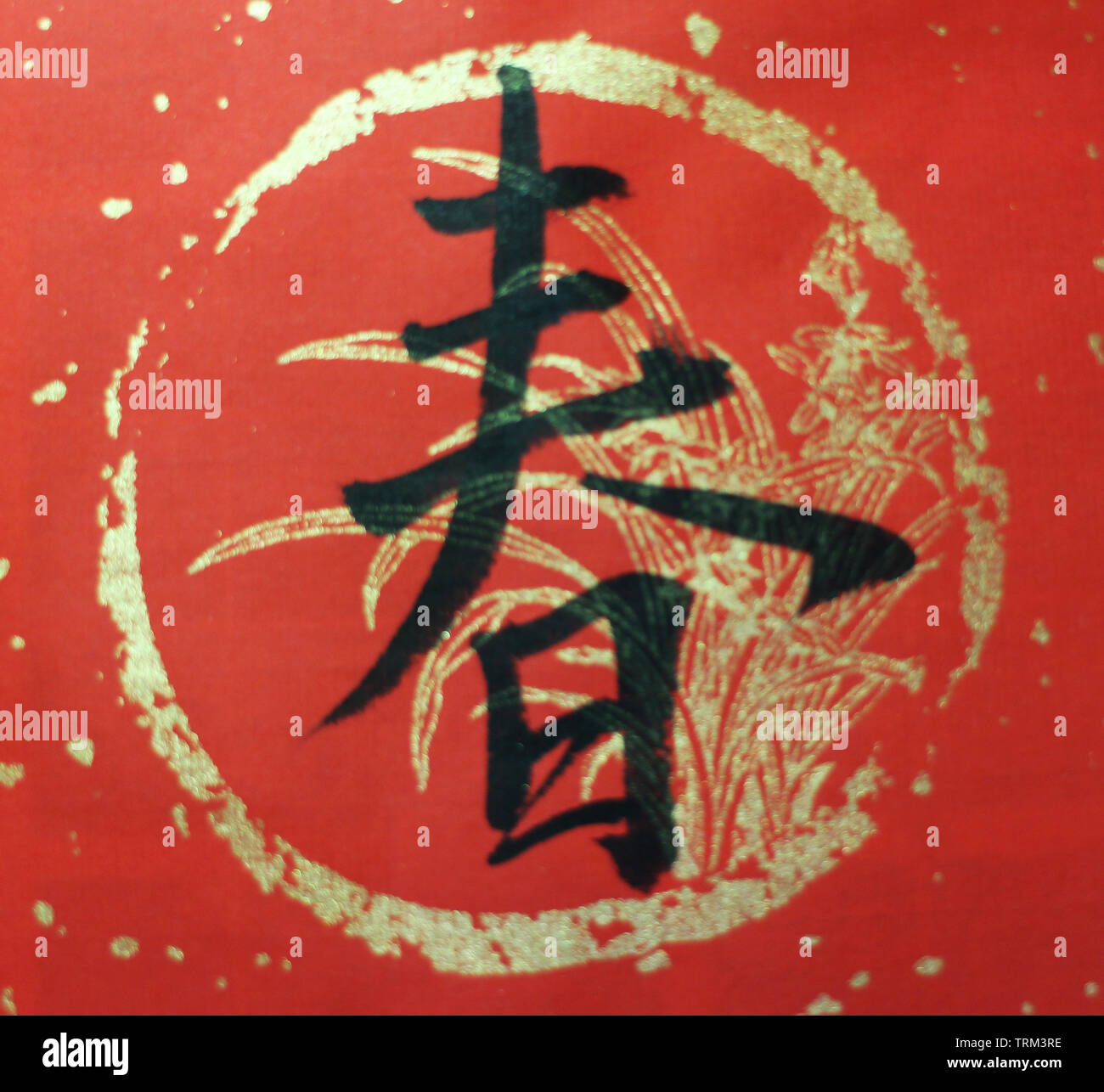 Chinese calligraphy, Chinese word "Spring Stock Photo - Alamy