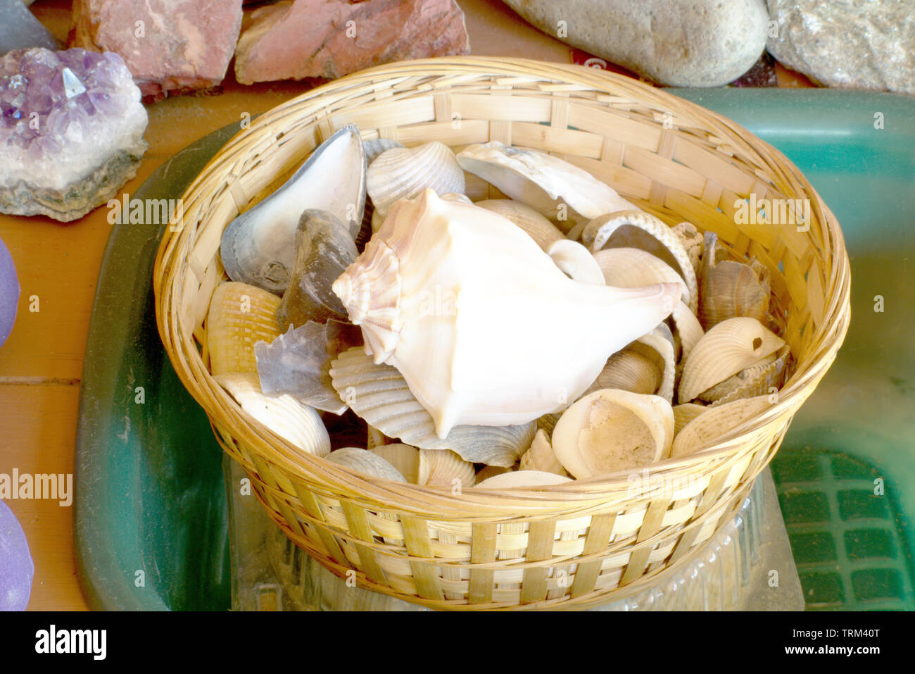 Full of shells hi-res stock photography and images - Alamy