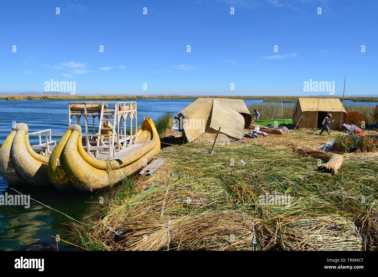 Peru,Puno,Titicaca. View of Titicaca Lake and reed boats or caballitos ...