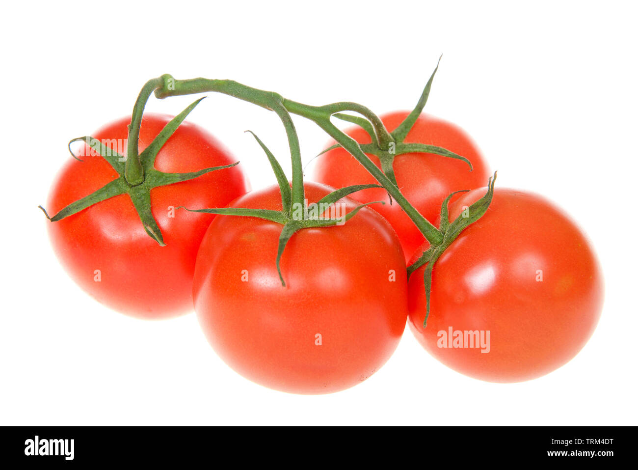 group of ripe red tomatoes on the vine isolated on white. The tomato is ...