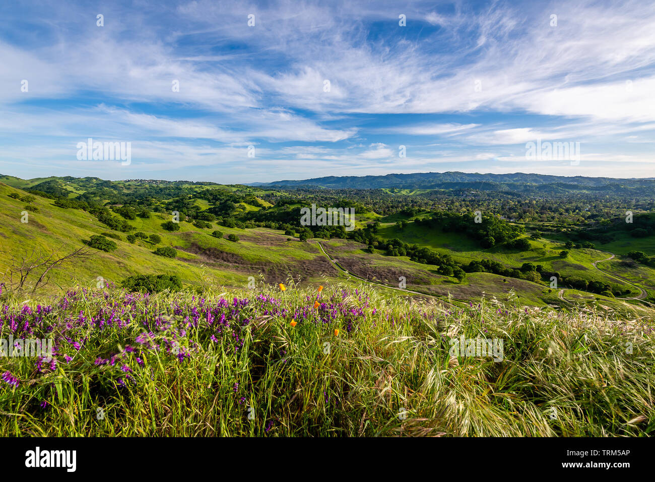 Mount Diablo State Park Stock Photo - Alamy