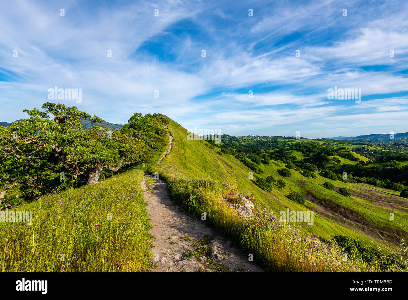 Mount Diablo State Park Observation High Resolution Stock Photography ...