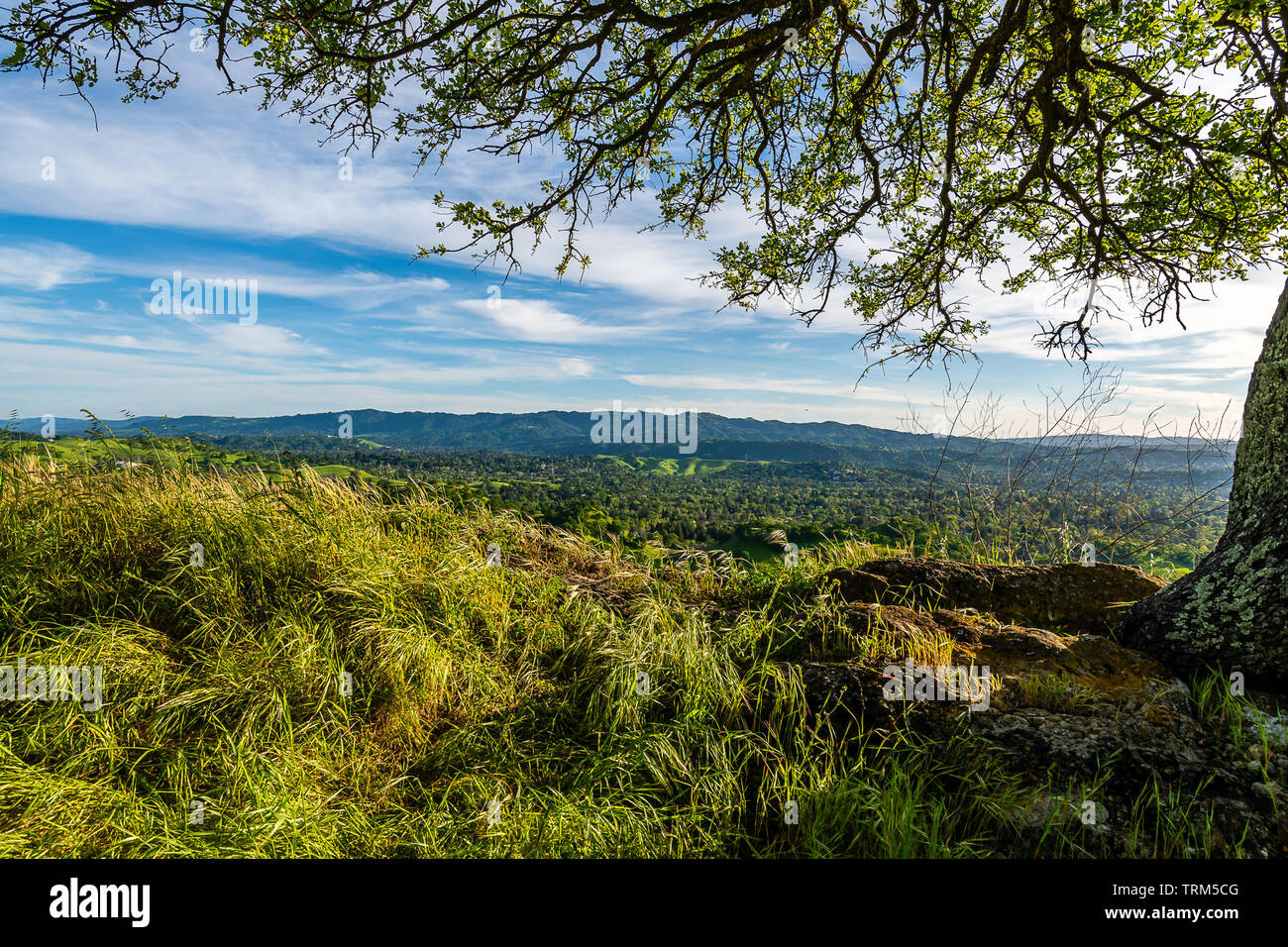 Mount Diablo State Park Stock Photo - Alamy