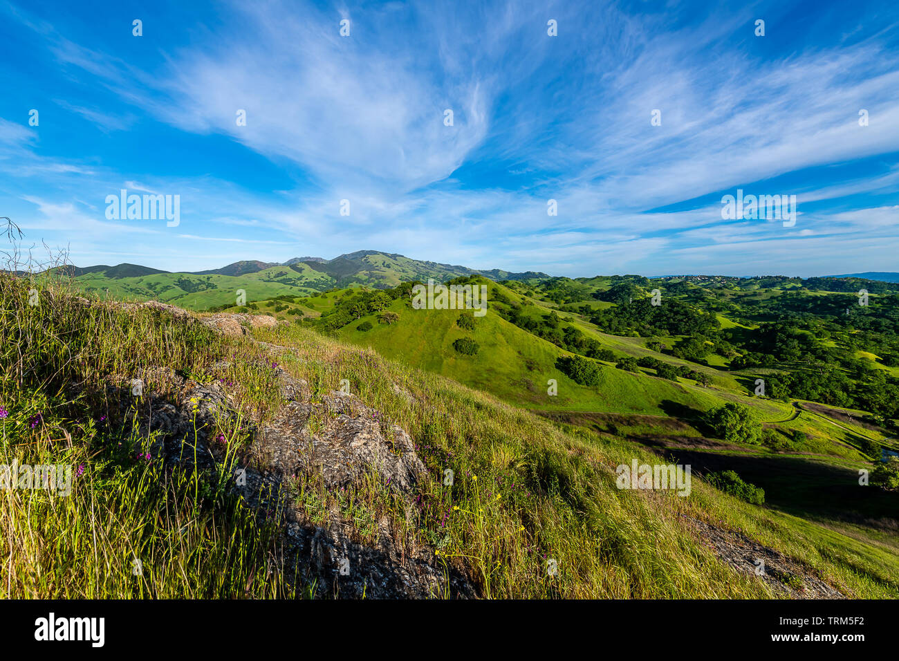 Mount Diablo State Park Stock Photo - Alamy