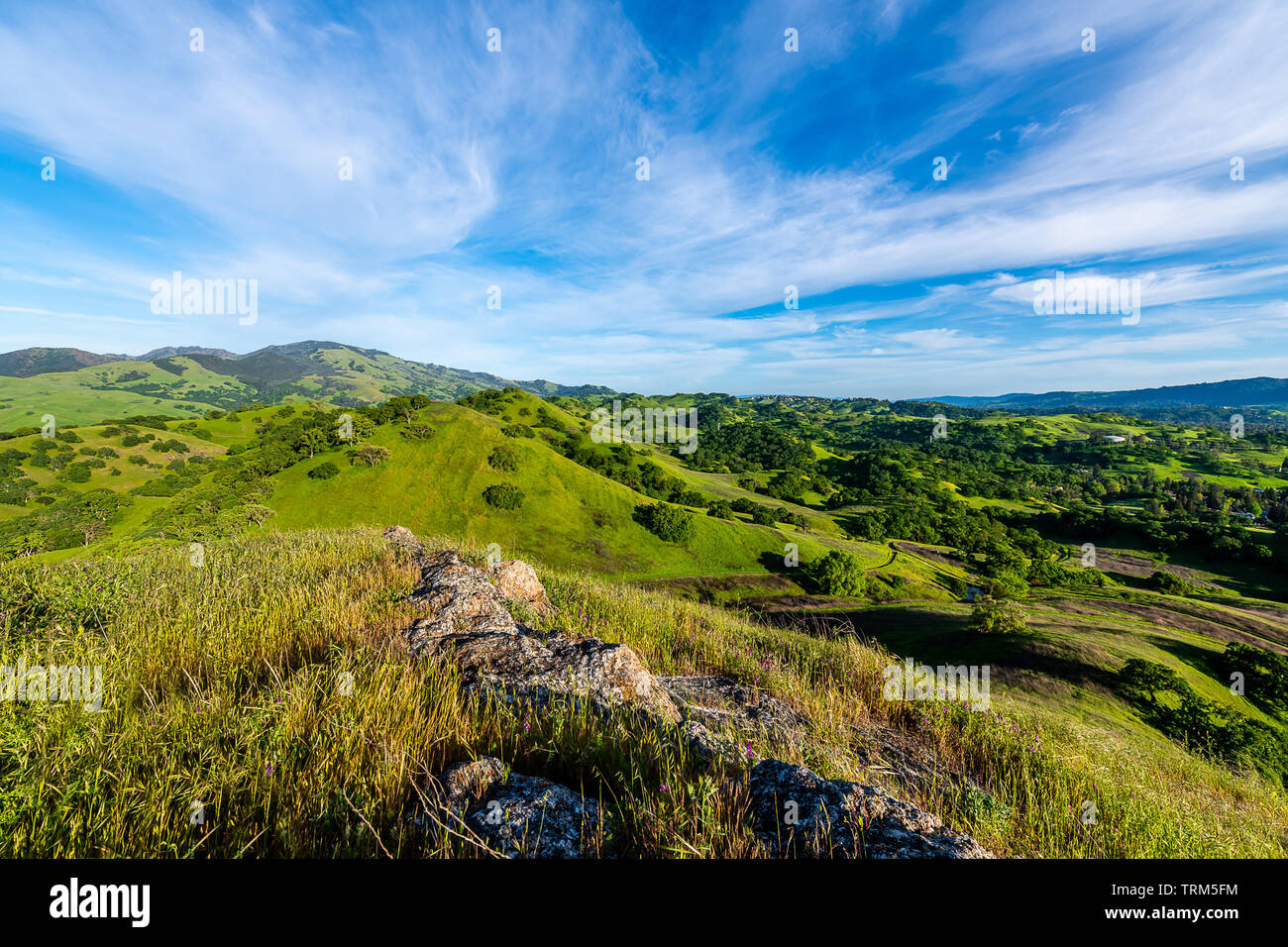 Mount Diablo State Park Stock Photo - Alamy