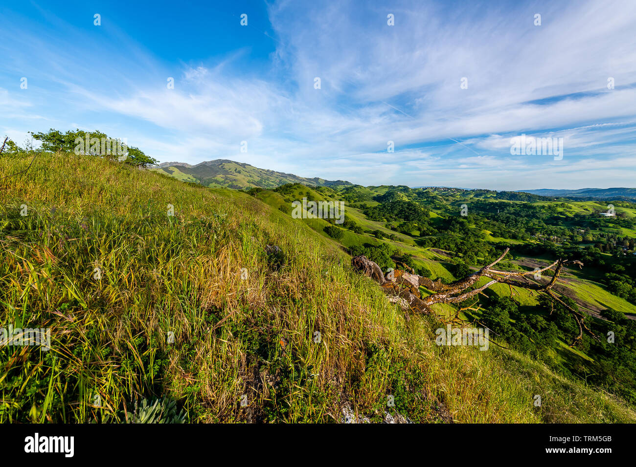Mount Diablo State Park Stock Photo - Alamy