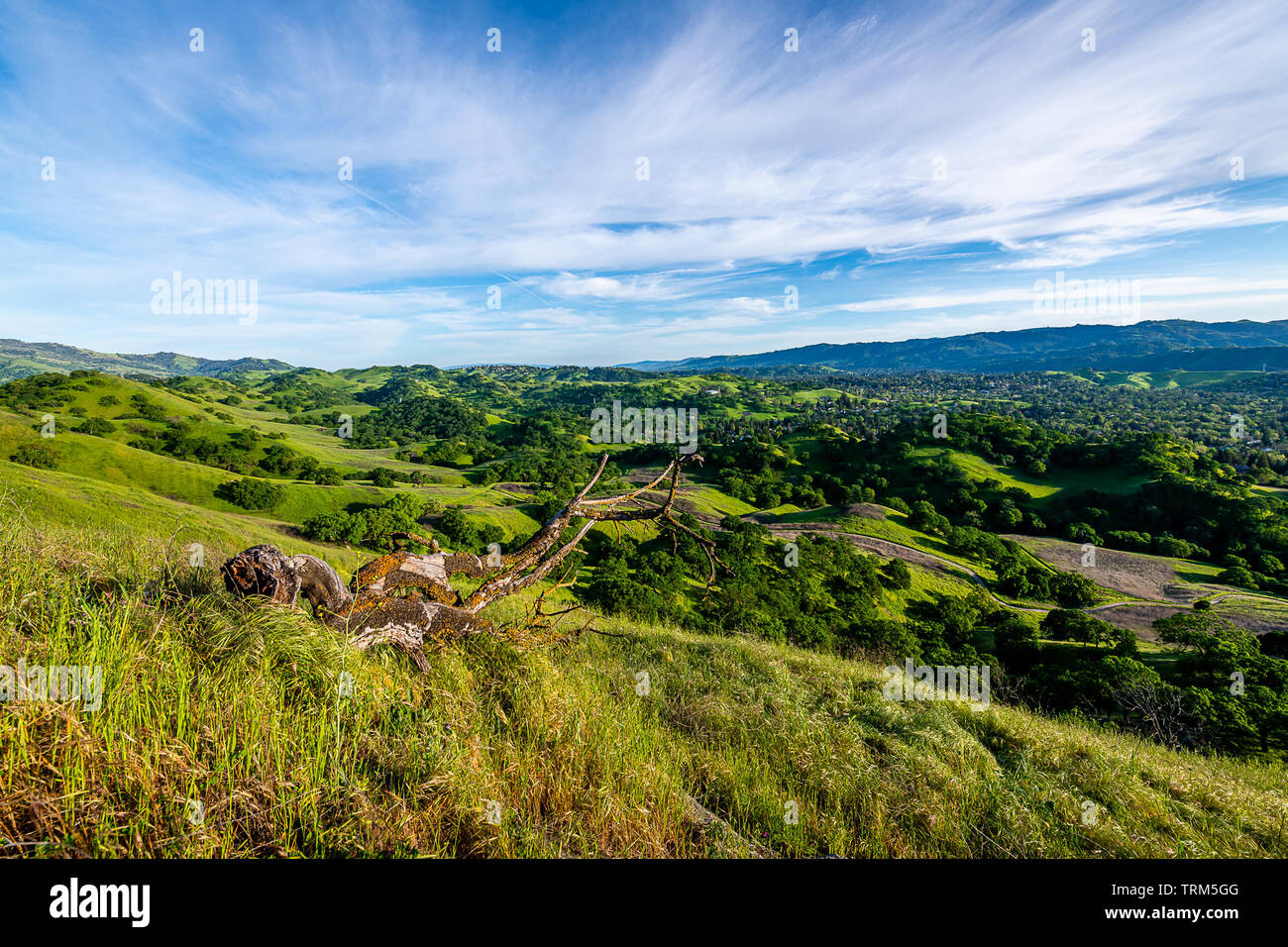 Mount Diablo State Park Stock Photo - Alamy