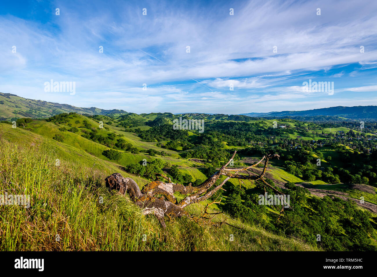 Mount Diablo State Park Stock Photo - Alamy