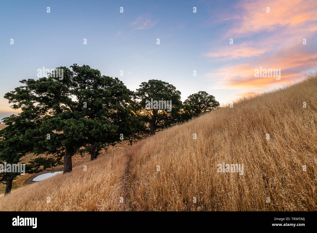 Mount Diablo State Park Stock Photo - Alamy
