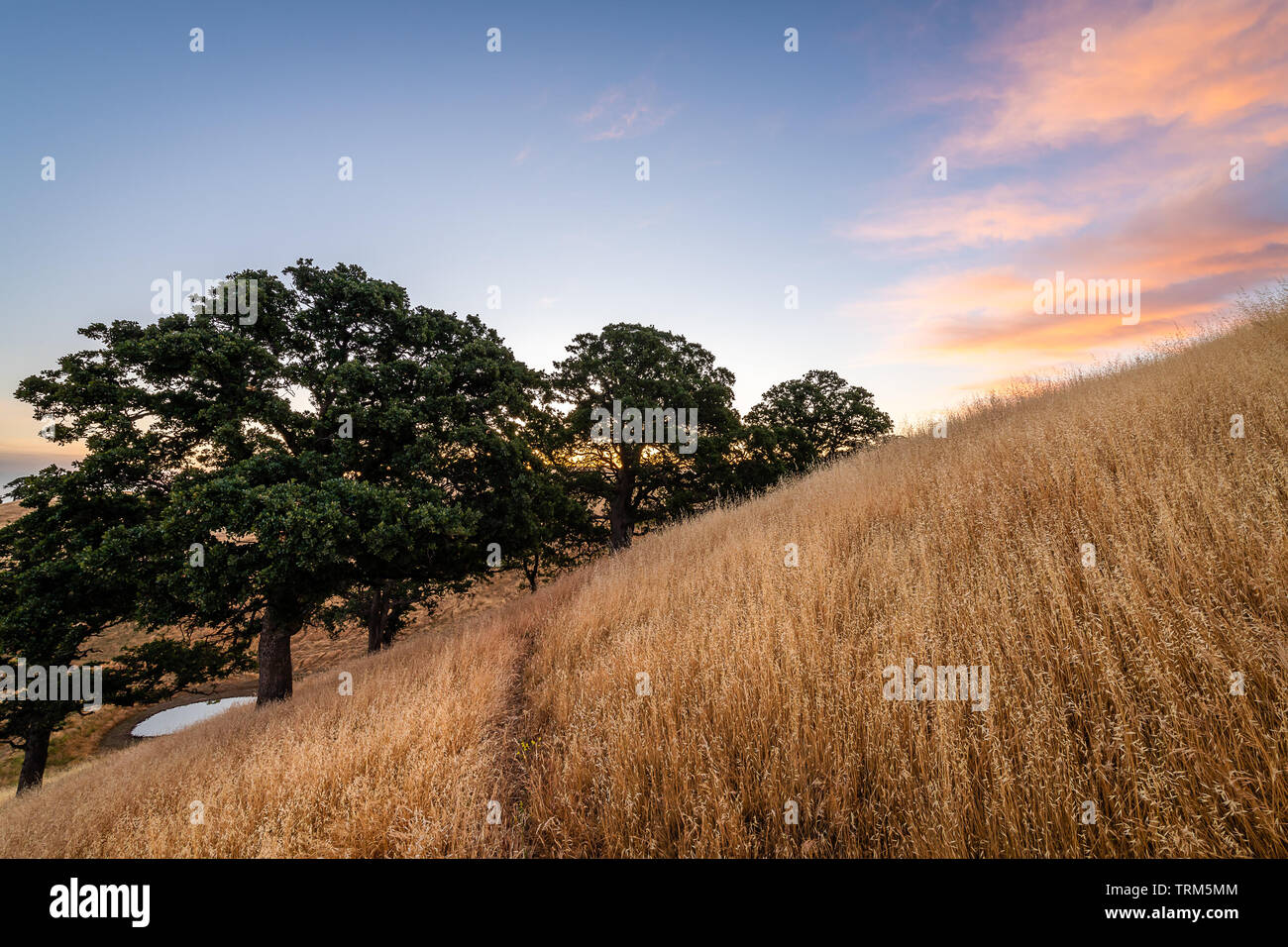 Mount Diablo State Park Stock Photo - Alamy