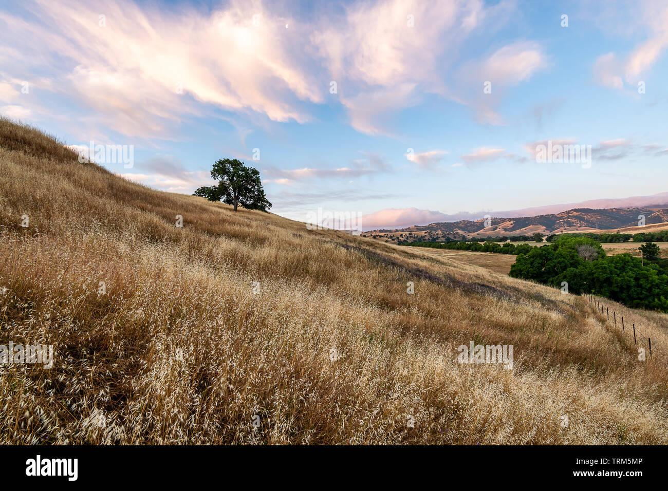 Mount Diablo State Park Stock Photo - Alamy