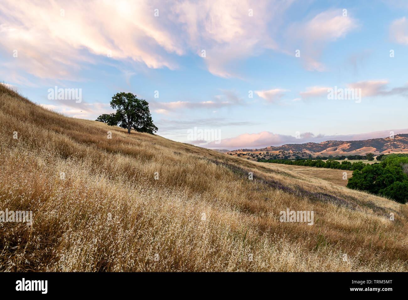 Mount Diablo State Park Stock Photo - Alamy