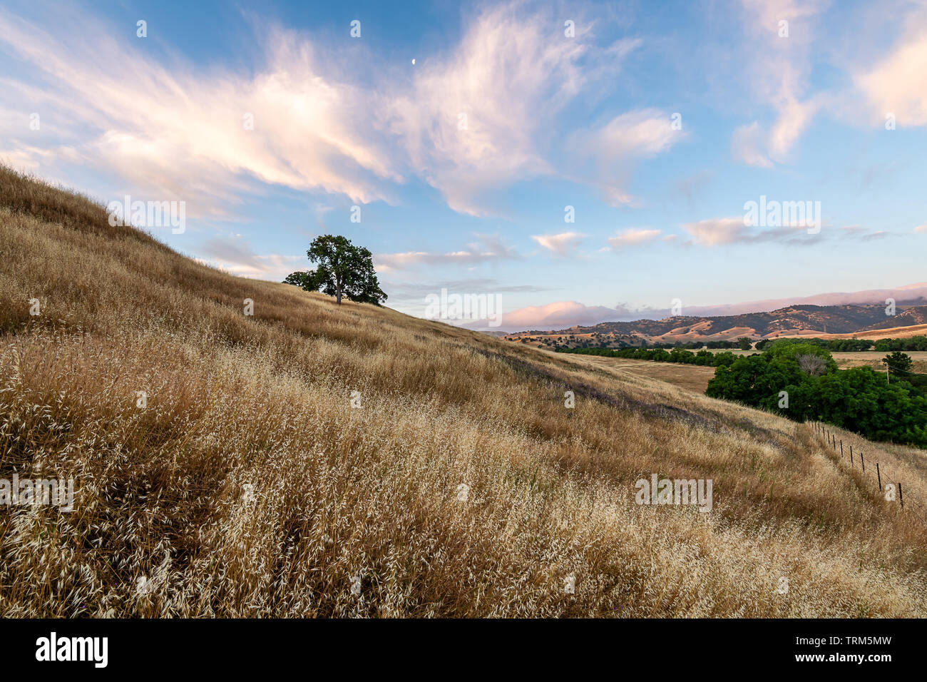 Mount Diablo State Park Stock Photo - Alamy