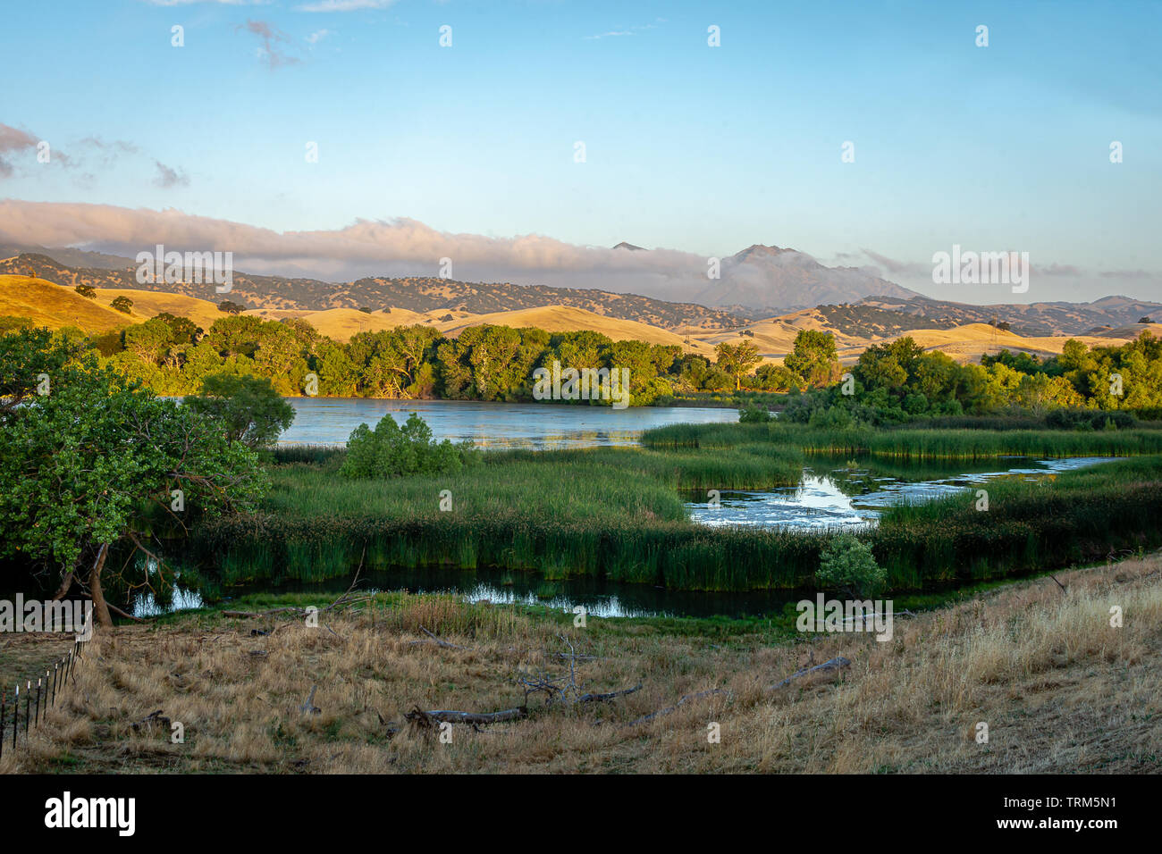 Mount Diablo State Park Stock Photo - Alamy
