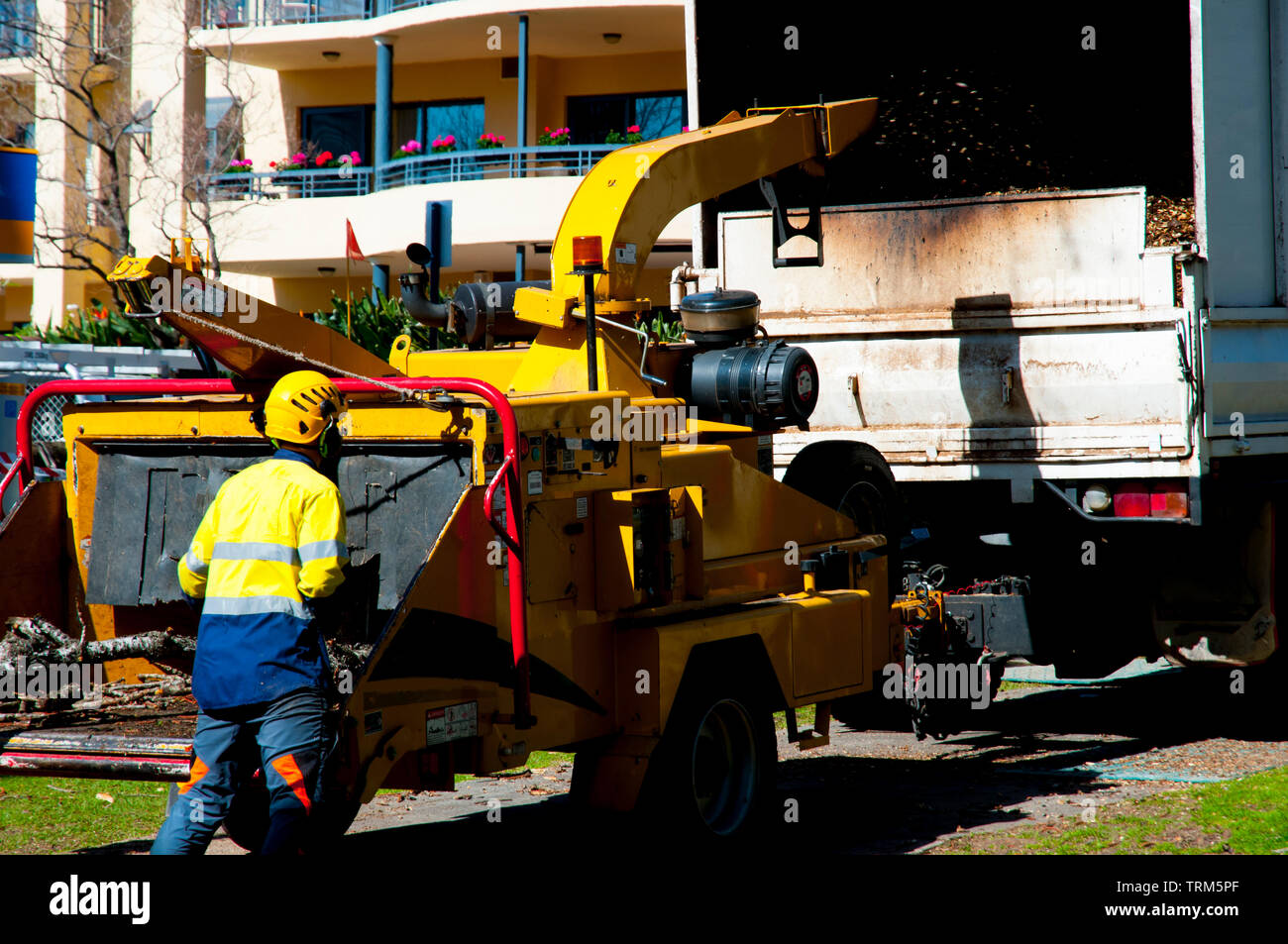 Industrial Wood Chipper Stock Photo - Alamy