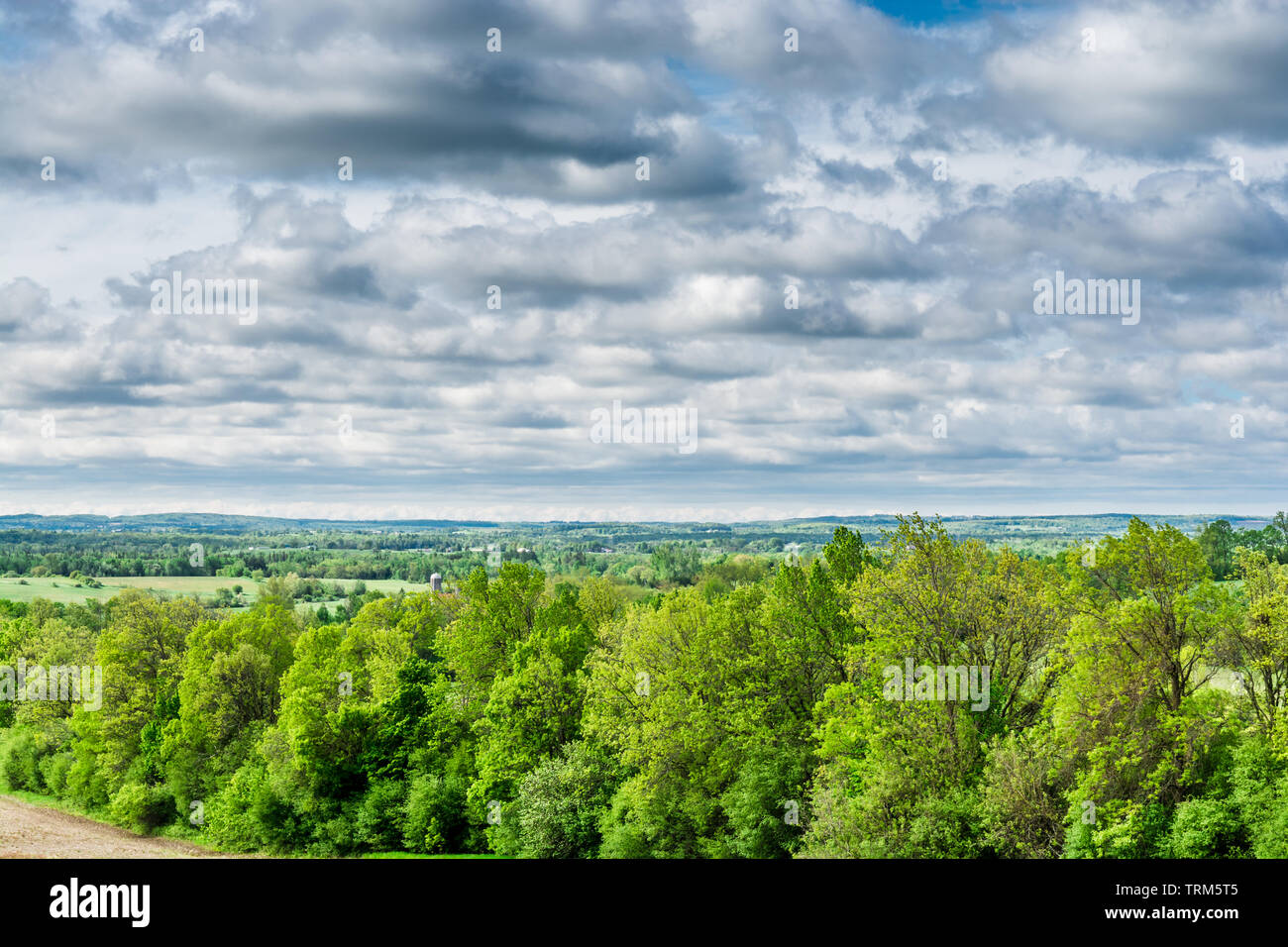 Rural landscape scene showing green field and forest and dramatic blue ...