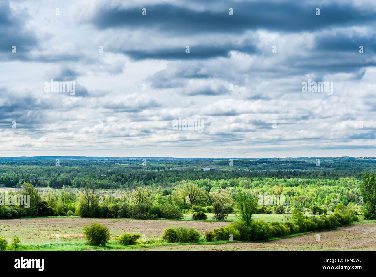 Rural landscape scene showing green field and forest and dramatic blue ...