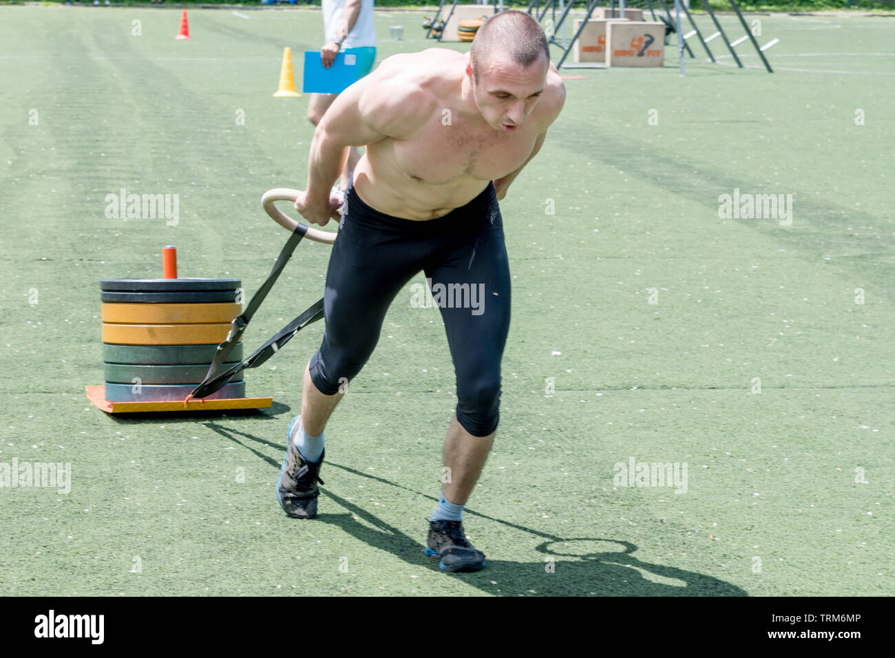 Muscular heavy dog hi-res stock photography and images - Alamy