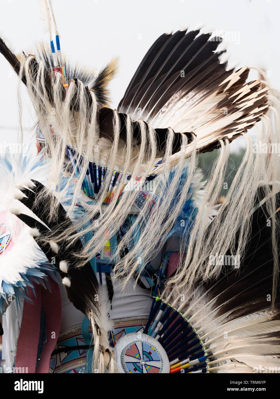 Eagle quills hi-res stock photography and images - Alamy