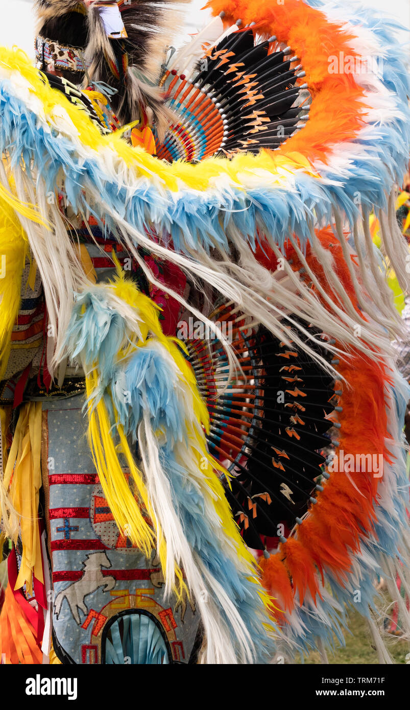 Orange quill hi-res stock photography and images - Alamy