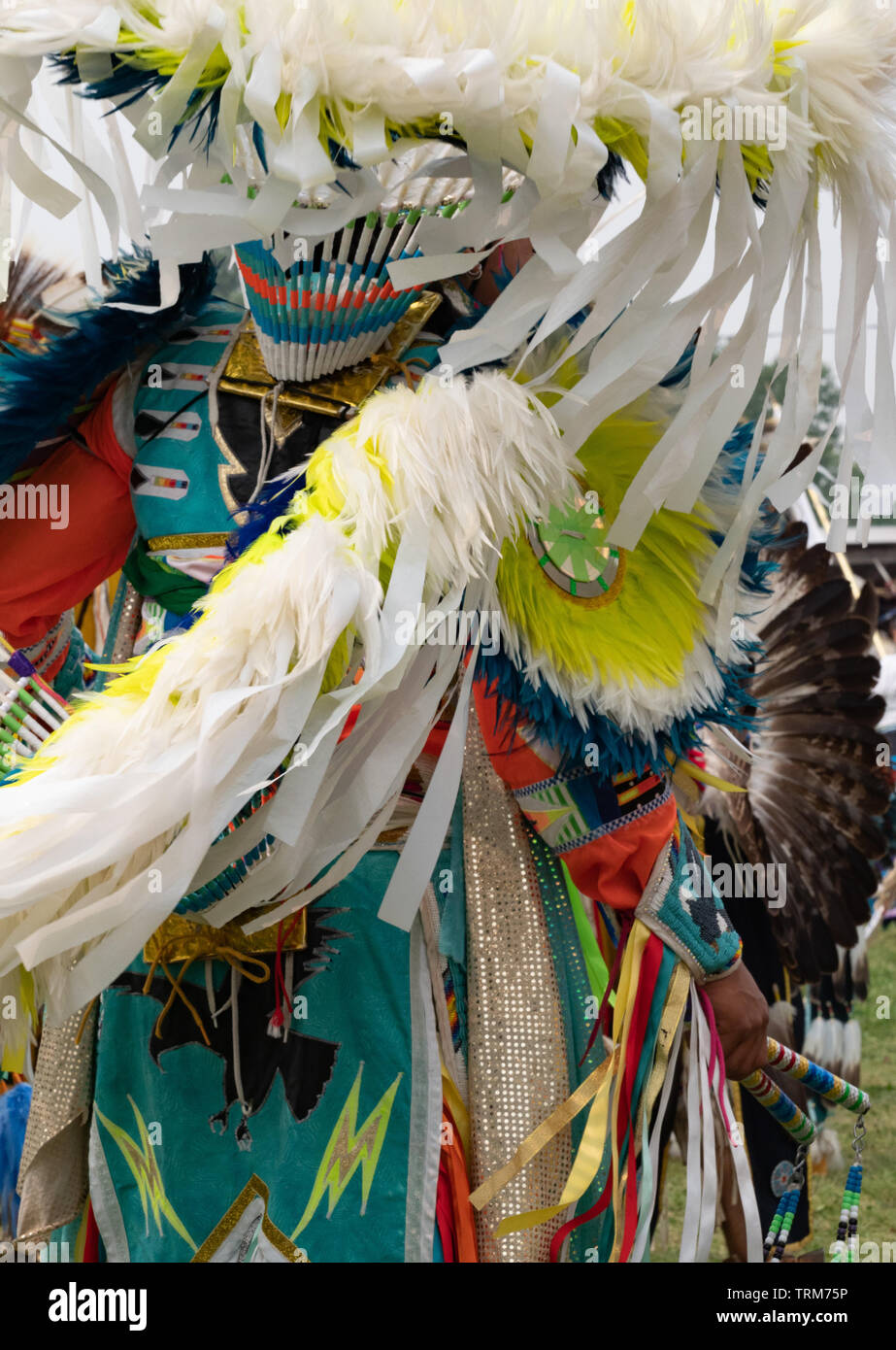 Native american eagle dancer hi-res stock photography and images - Alamy