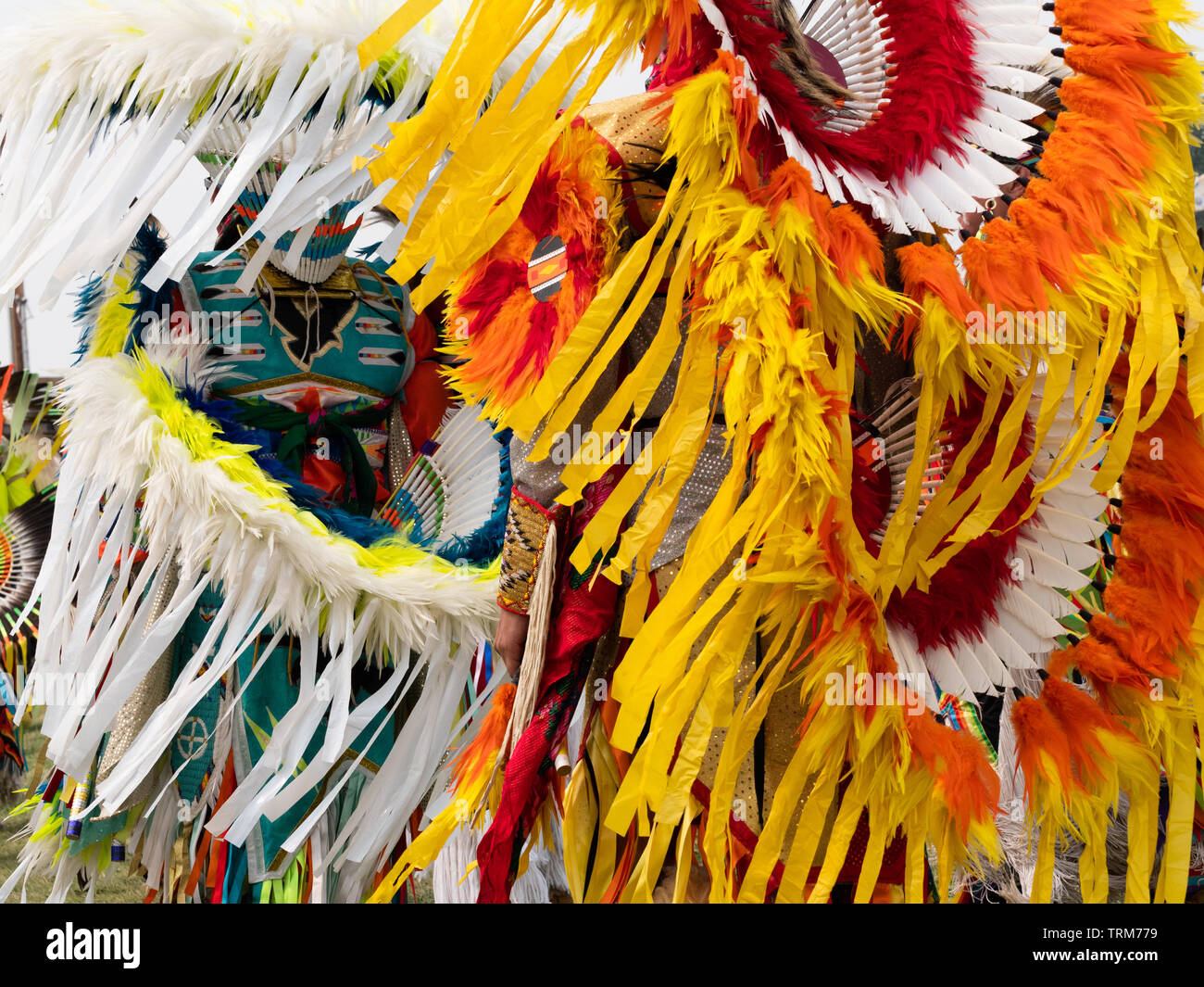 Eagle feather bustle hi-res stock photography and images - Alamy