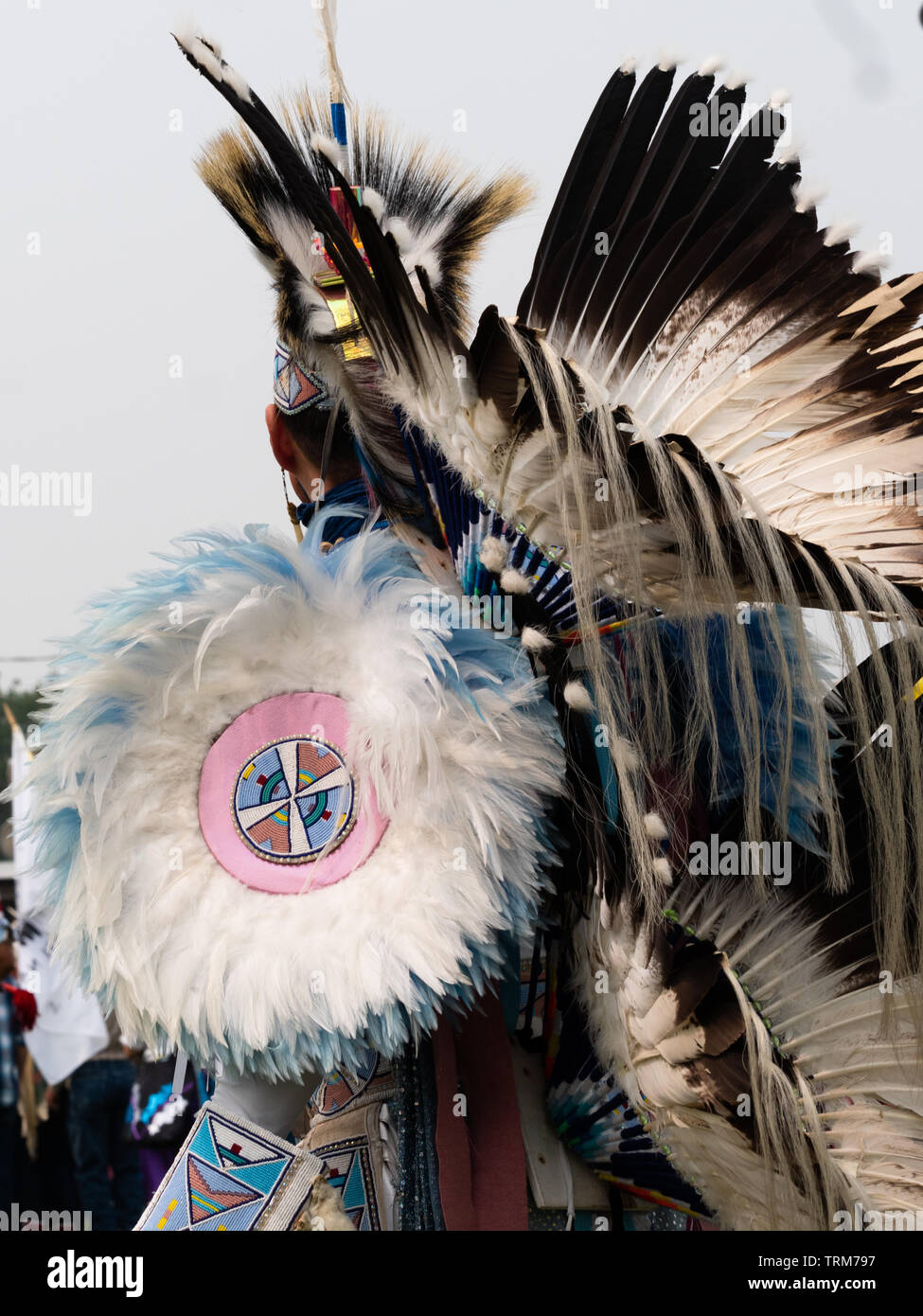 Eagle Feathers High Resolution Stock Photography and Images - Alamy