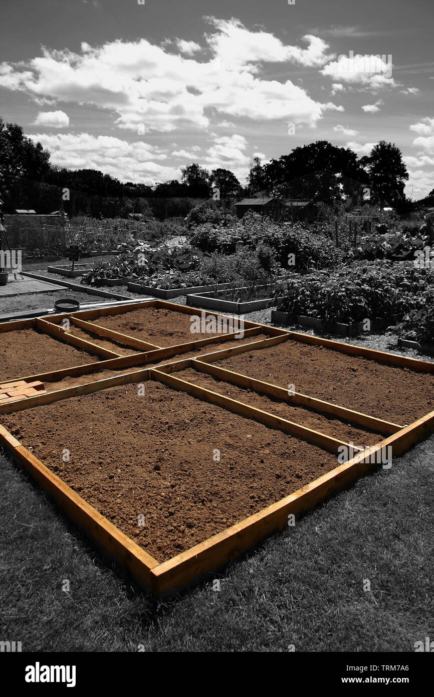 Allotment plot marked out ready for planting with a wooden frame in a ...