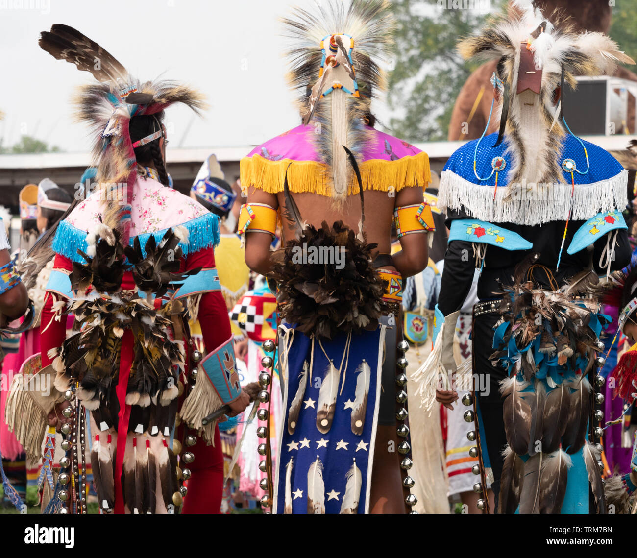 Eagle feather bustle hi-res stock photography and images - Alamy