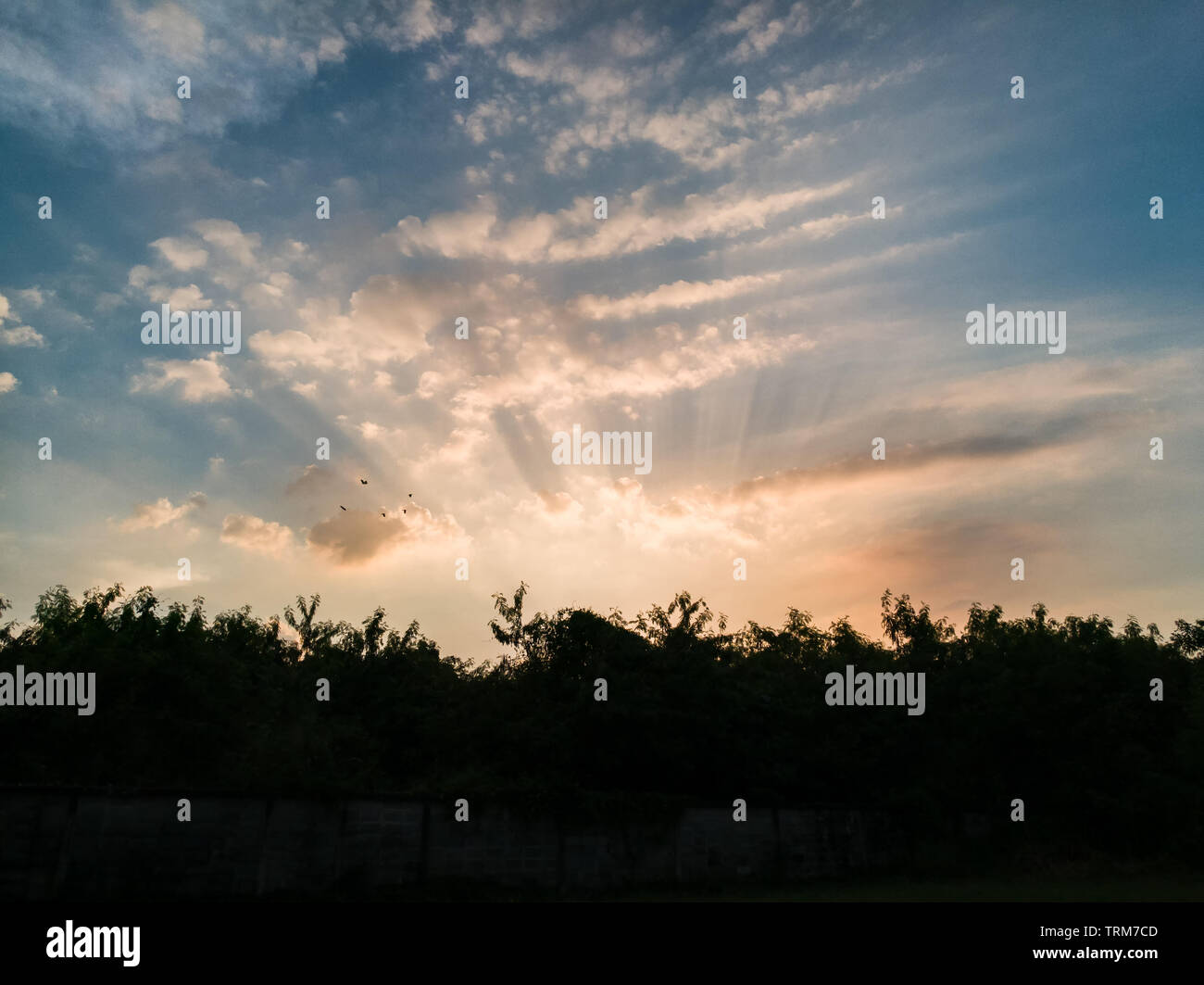 Sunshine beam hi-res stock photography and images - Alamy