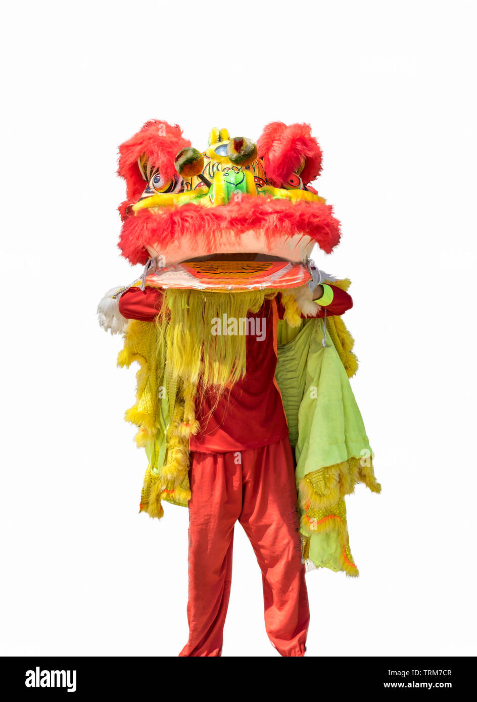 Chinese red lion dance standing on lunar festival,isolated on white ...