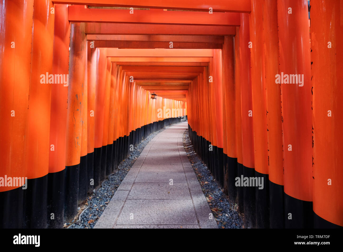 Ancient wood torii gate landmark of Fushimi Inari shrine Stock Photo ...