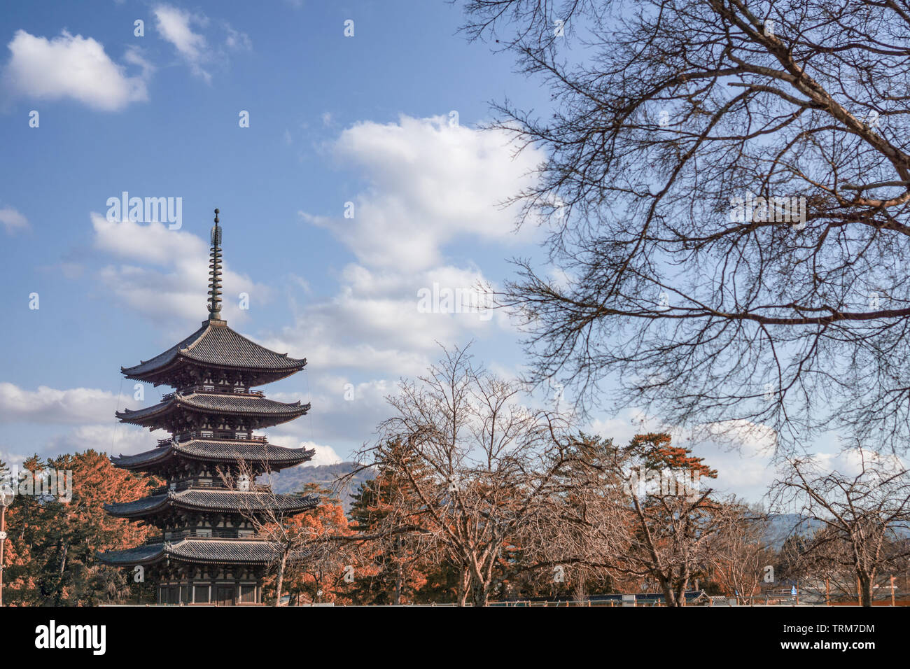 Suma dera temple hi-res stock photography and images - Alamy