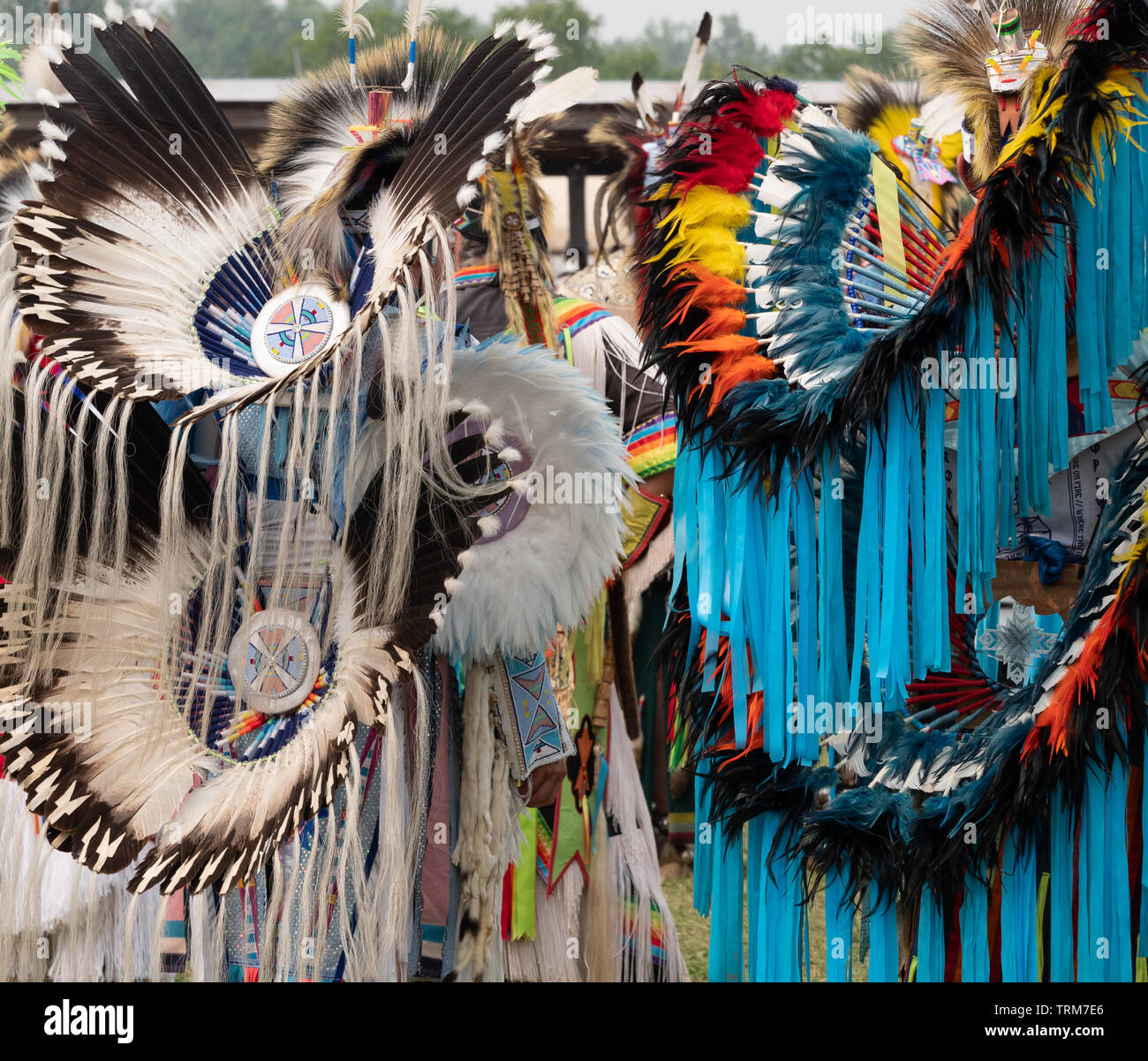 Eagle feather bustle hi-res stock photography and images - Alamy