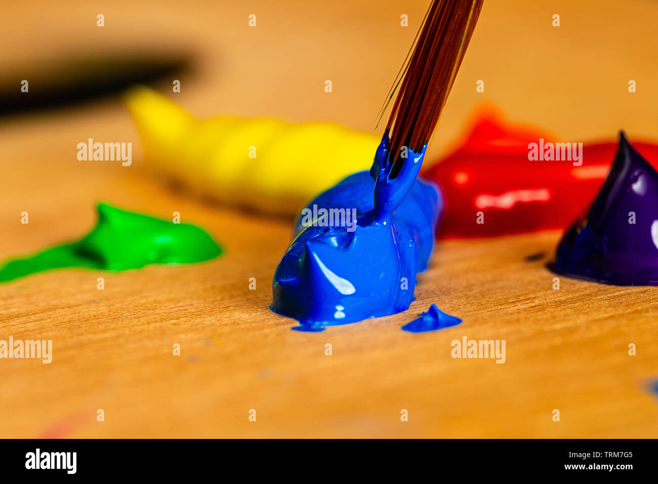Sharp macro of An Artist's paint brush being loaded with blue acrylic ...