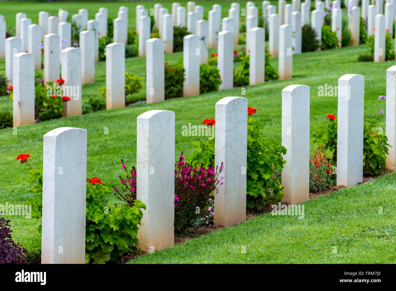 Well cared for cemetery hi-res stock photography and images - Alamy