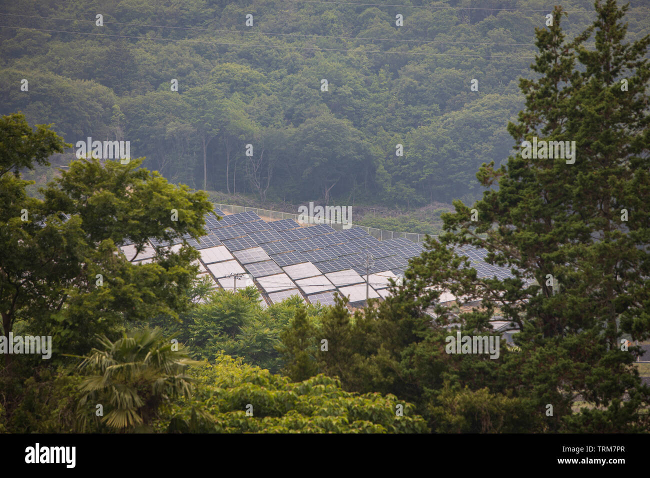 Solar panels with trees hi-res stock photography and images - Alamy