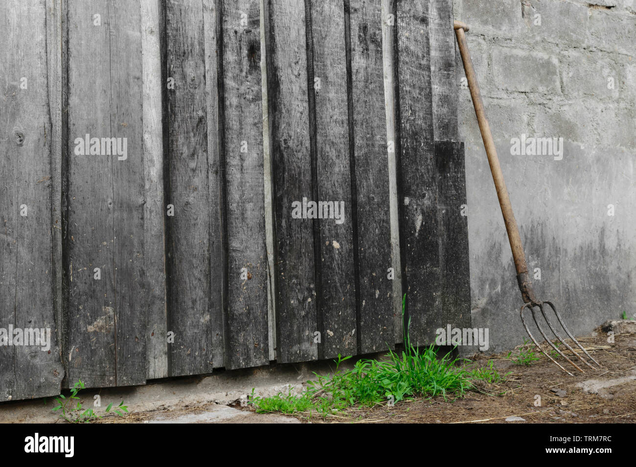 Tool farm hay pitchfork straw hi-res stock photography and images - Alamy