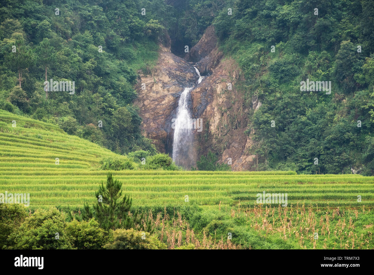 View of waterfall in valley on rice field terraced Stock Photo - Alamy