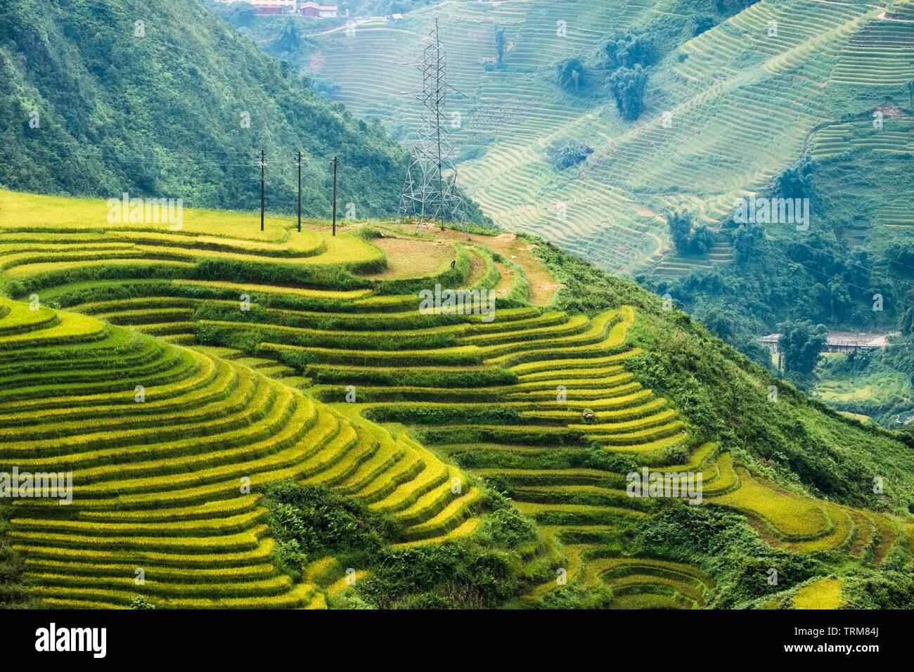 Staircase rice field hi-res stock photography and images - Alamy